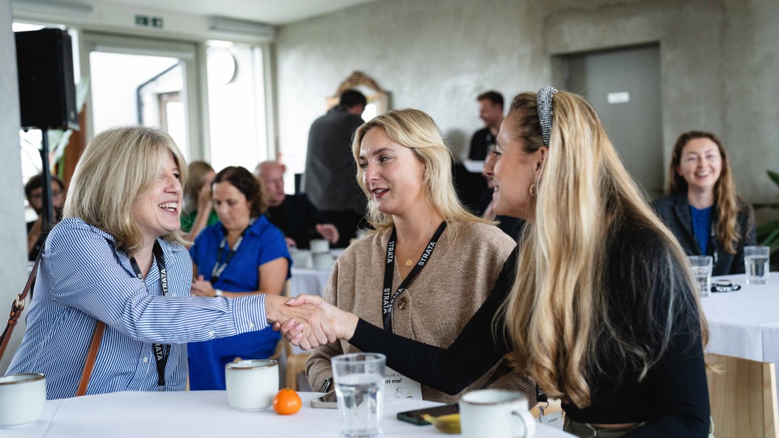 The Strata Group - Strata